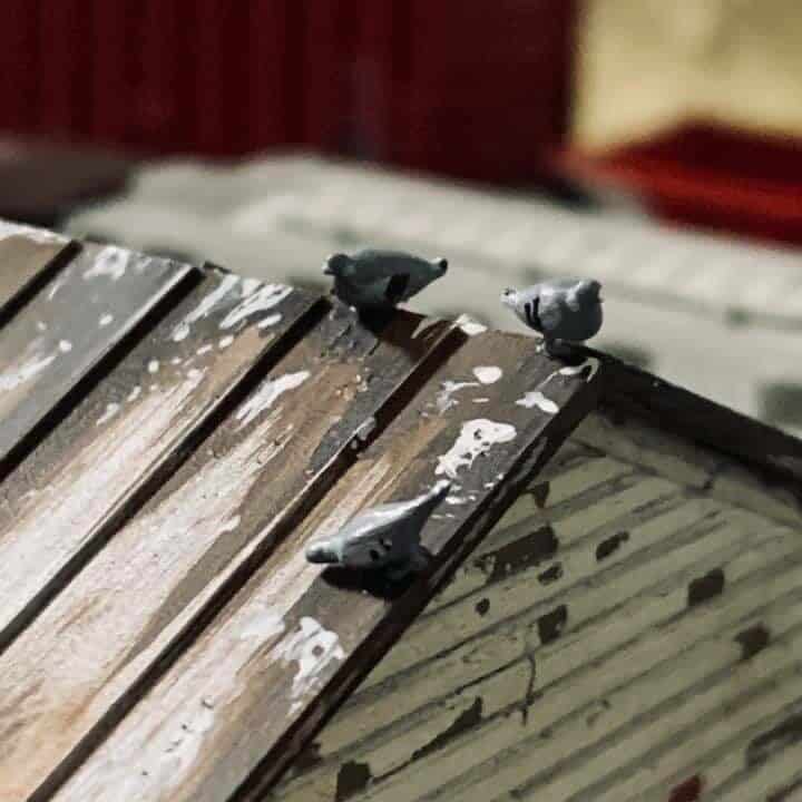 Pigeons – miniprints