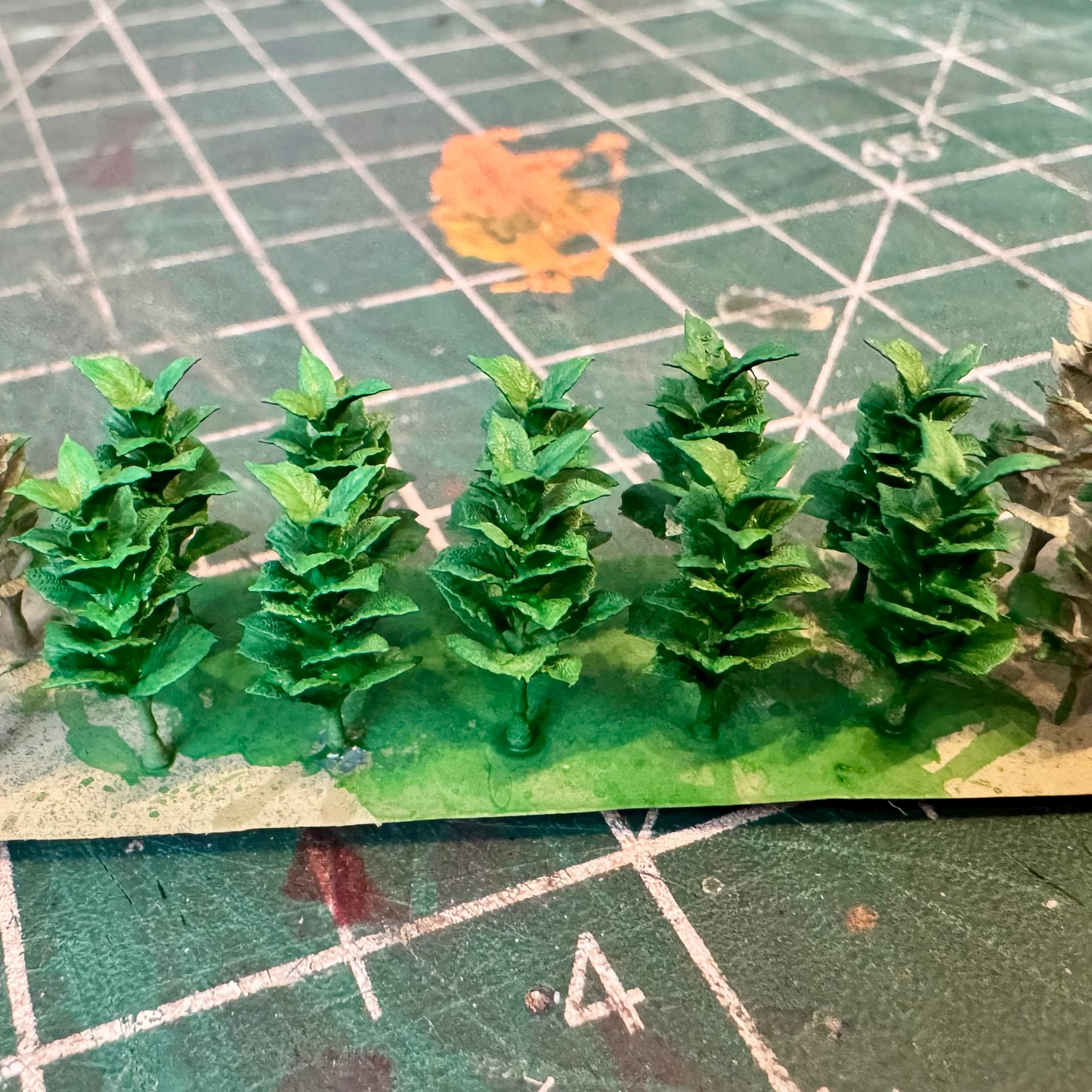 Tobacco Plants – miniprints