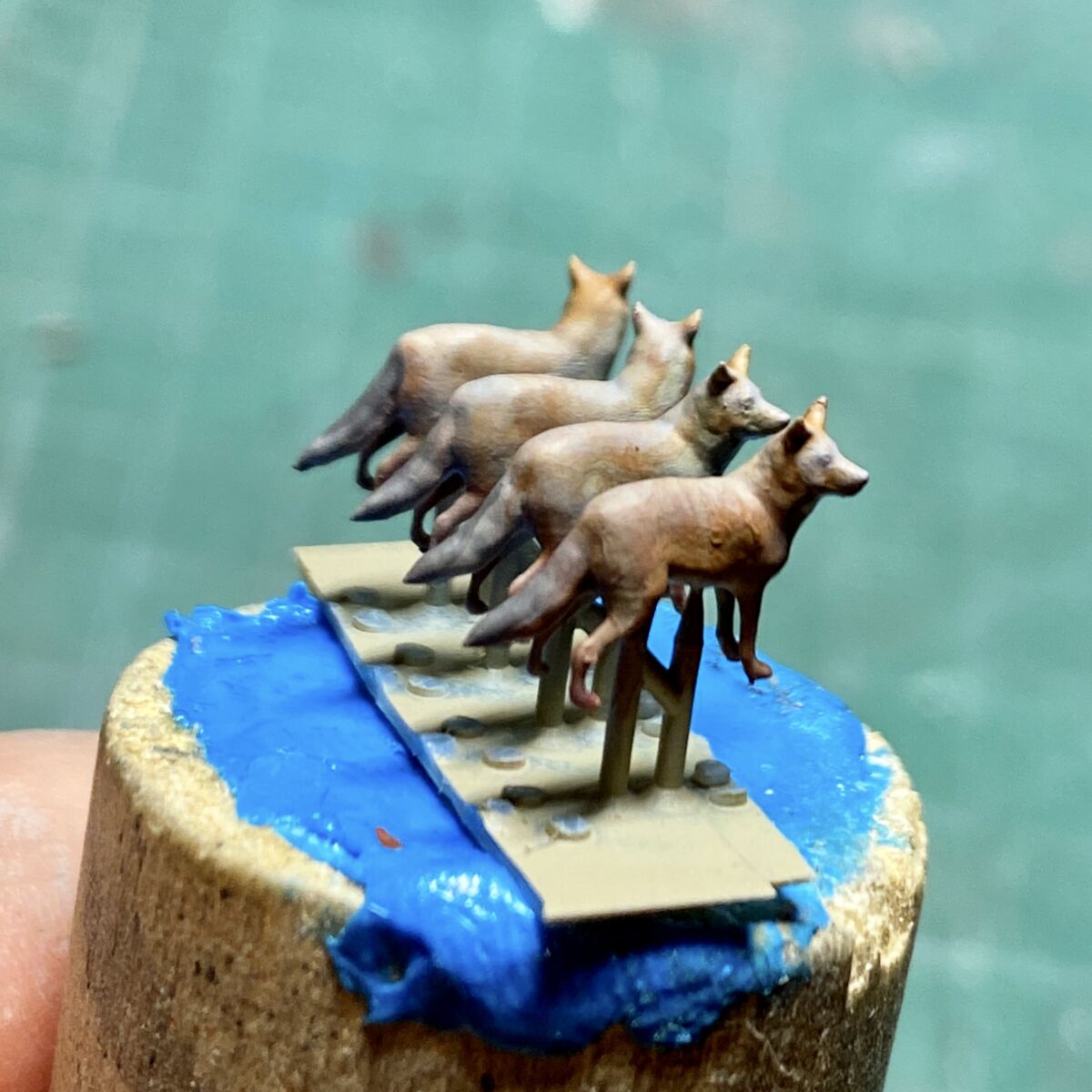 Coyotes (New) – miniprints