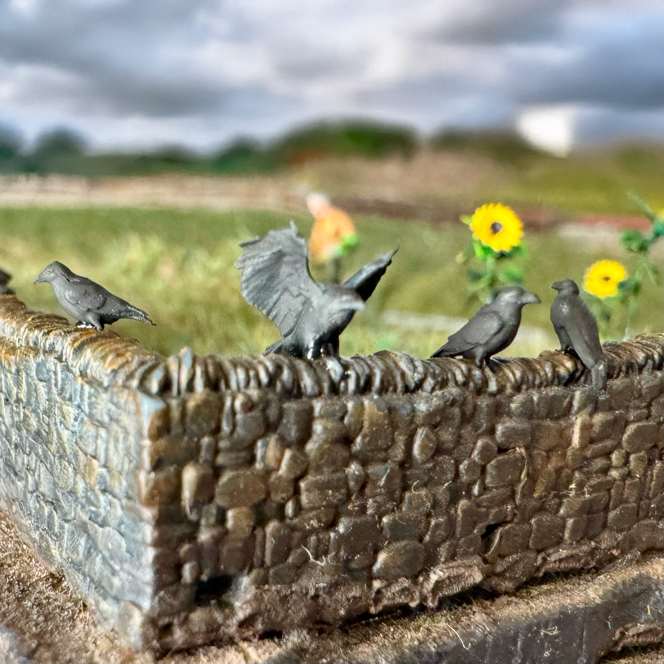 Crows (5) – miniprints